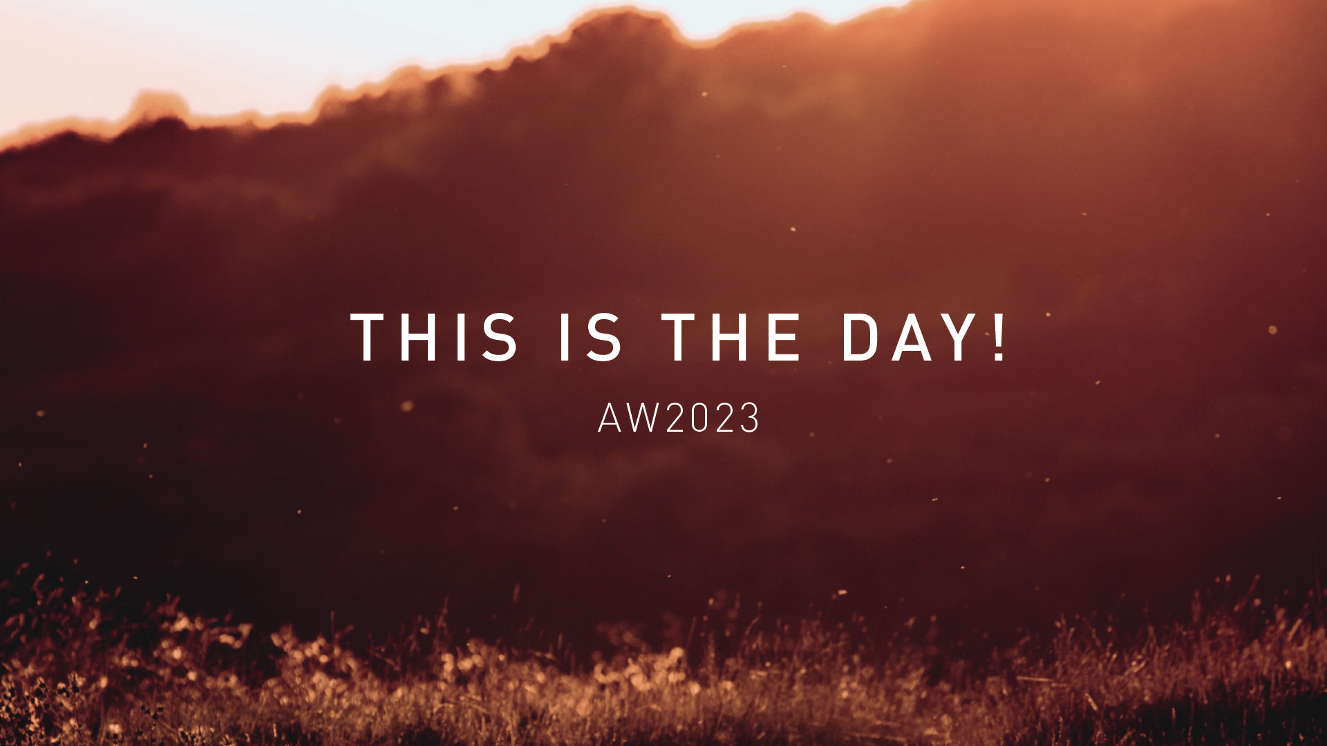 THIS IS THE DAY | AW2023 | Merz b. Schwanen